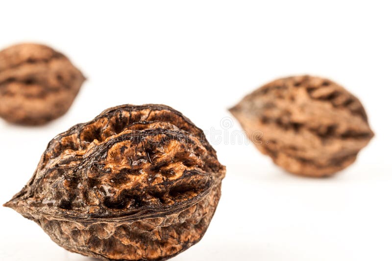 Three Wild Walnuts Isolated White Background Stock Photos - Free ...