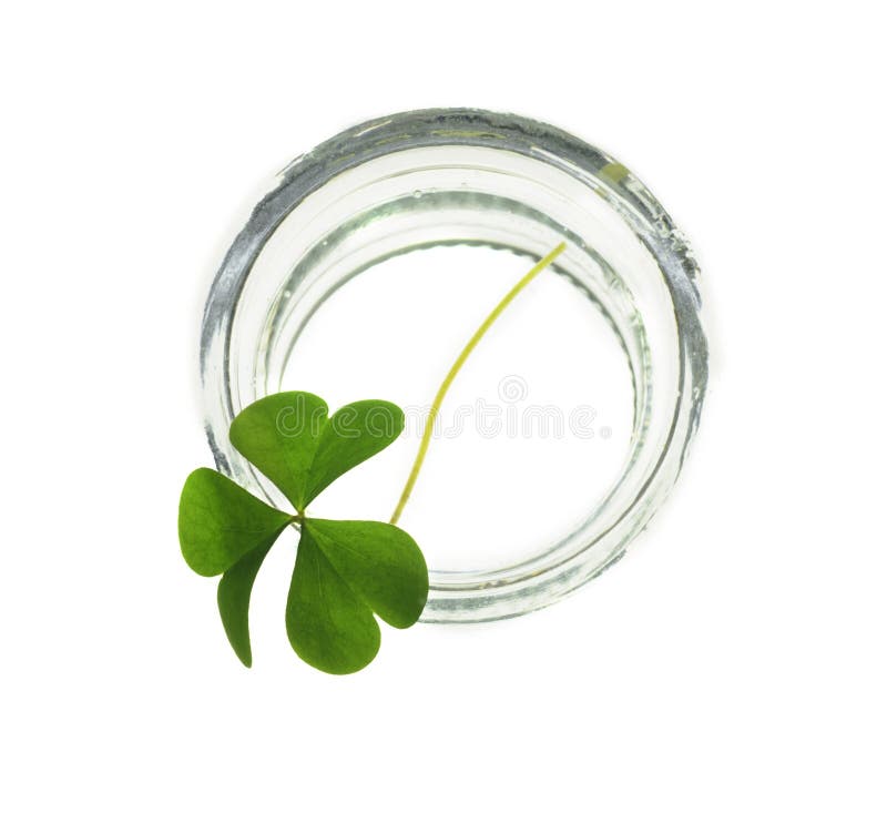 297 Three Leaf Clover Card Stock Photos - Free & Royalty-Free Stock ...