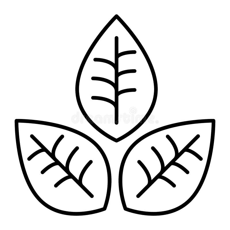 Three Leaves Thin Line Icon. Nature Vector Illustration Isolated on ...