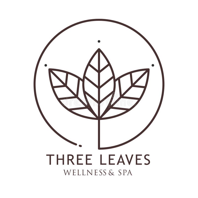 Three leaves wellness spa stock vector. Illustration of floral - 250363618