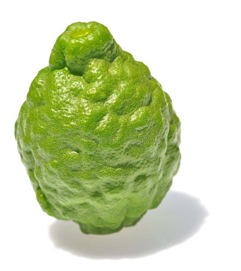 Three Leech Lime Fruits Isolated Stock Image - Image of food, hystrix ...