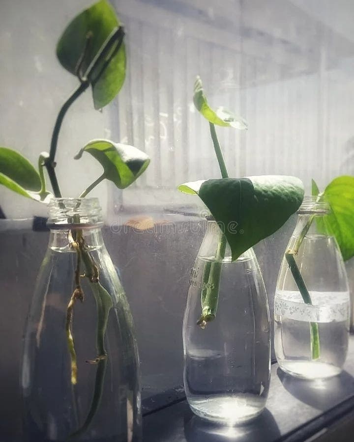 The Three Life at the Bottles Stock Photo - Image of green, lighting ...