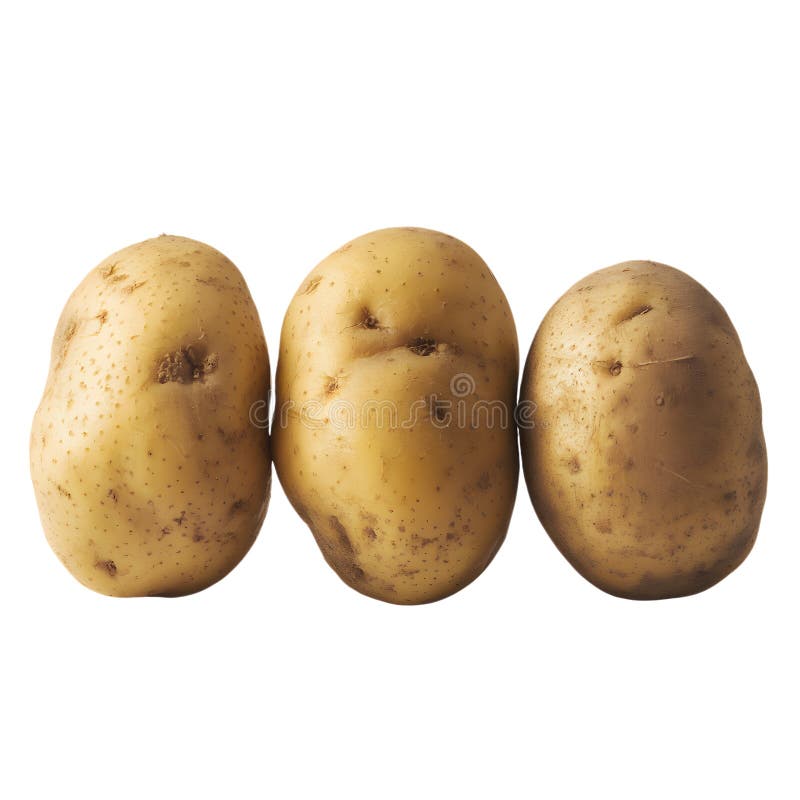 Three Light Yellow Potatoes Side by Side, Set Against White Stock Photo ...