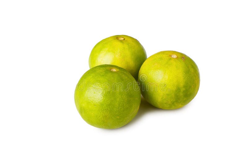 Three limes stock photo. Image of healthy, fresh, clean - 69358212