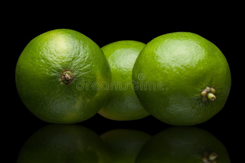 Three limes stock photo. Image of vitamin, healthy, three - 195588142