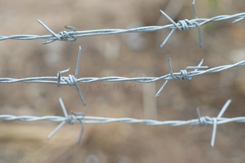 Barbed Wire on fence stock image. Image of sharp, boundary - 131503667