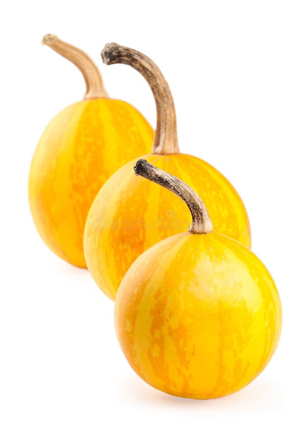 Three Little Decorative Pumpkins Stock Image - Image of harvest, gourd ...