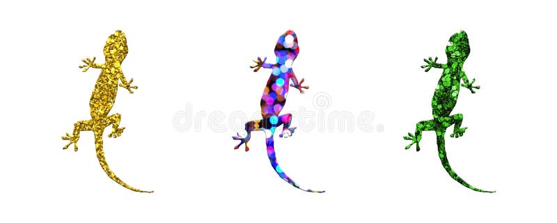 Three Lizards with Different Patterns Isolated on a White Background ...