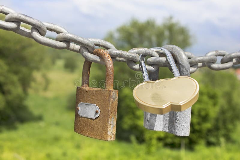 Three Locks on a Thick Galvanized Chain Stock Image - Image of gold ...