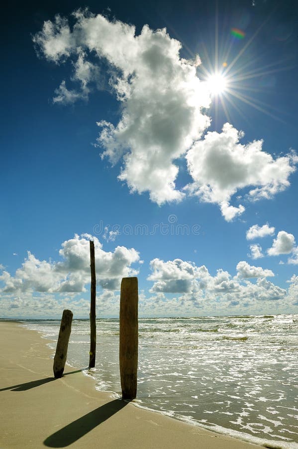 Three logs on beach stock photo. Image of beauty, idyllic - 33107422