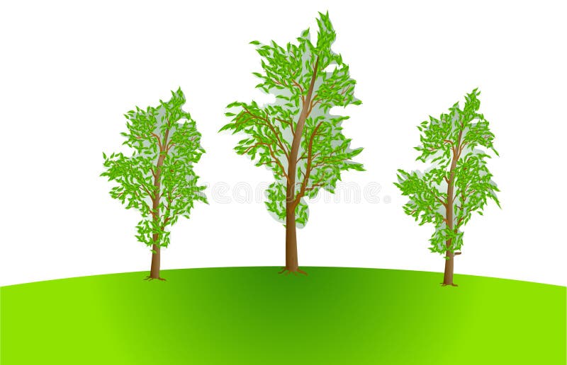 Young Tree Realistic Style. Stock Vector - Illustration of farm ...
