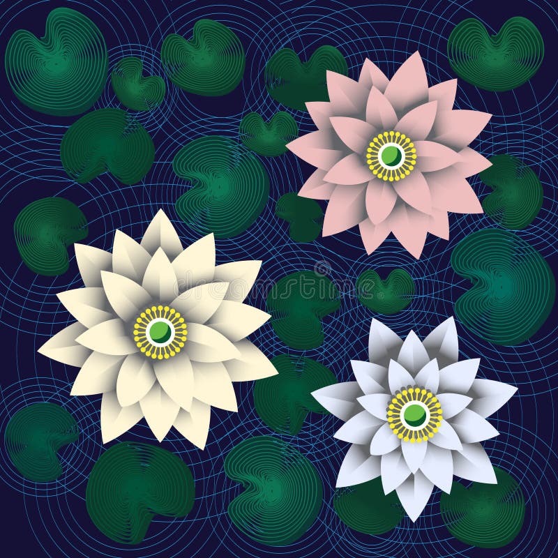 Three Lotus Flowers on a White Background. Stock Illustration ...