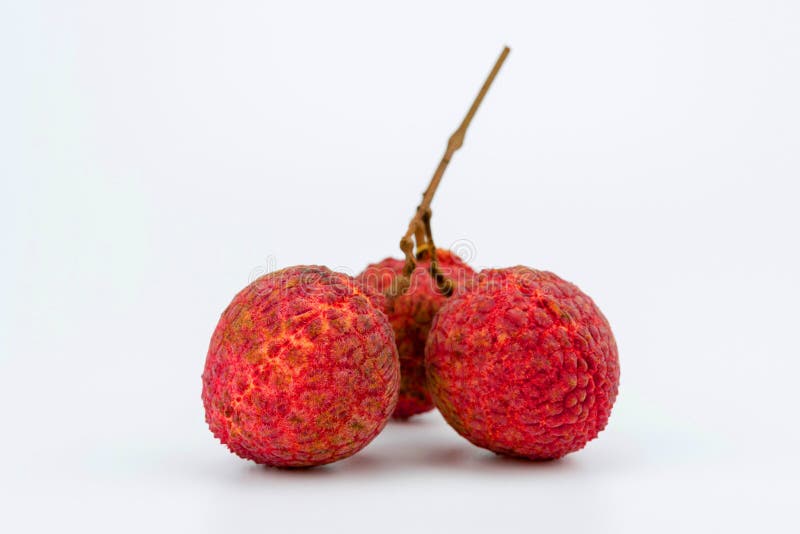 Three Lychee Fruit on White Background Stock Image - Image of litchi ...