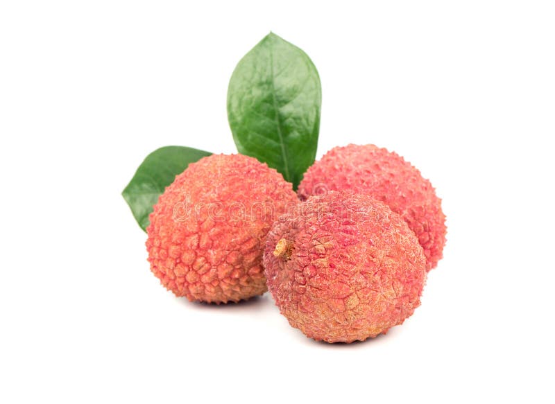 Three lychee fruits stock image. Image of pink, plum - 107488015