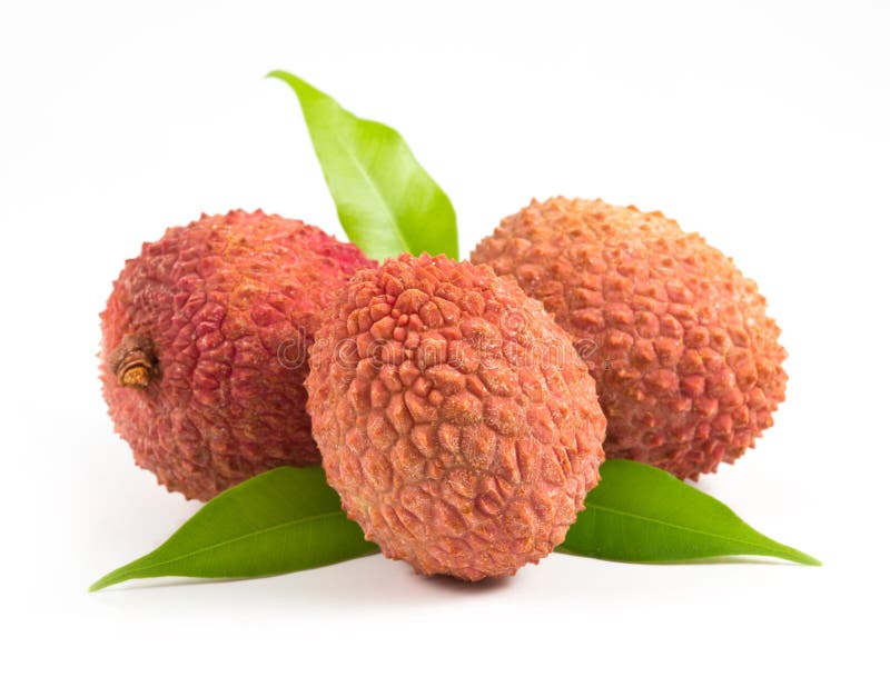 Three Lychees stock photo. Image of delicious, food, healthy - 28228636