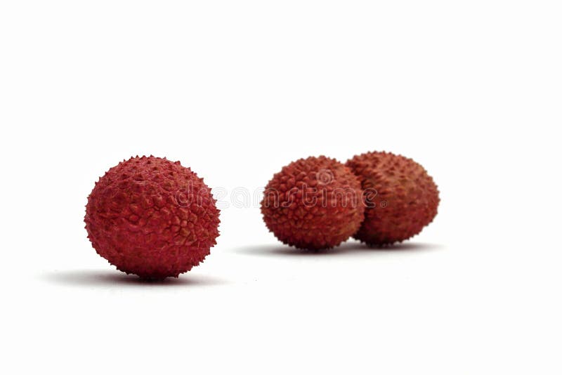 Three Lychees stock photo. Image of delicious, food, healthy - 28228636