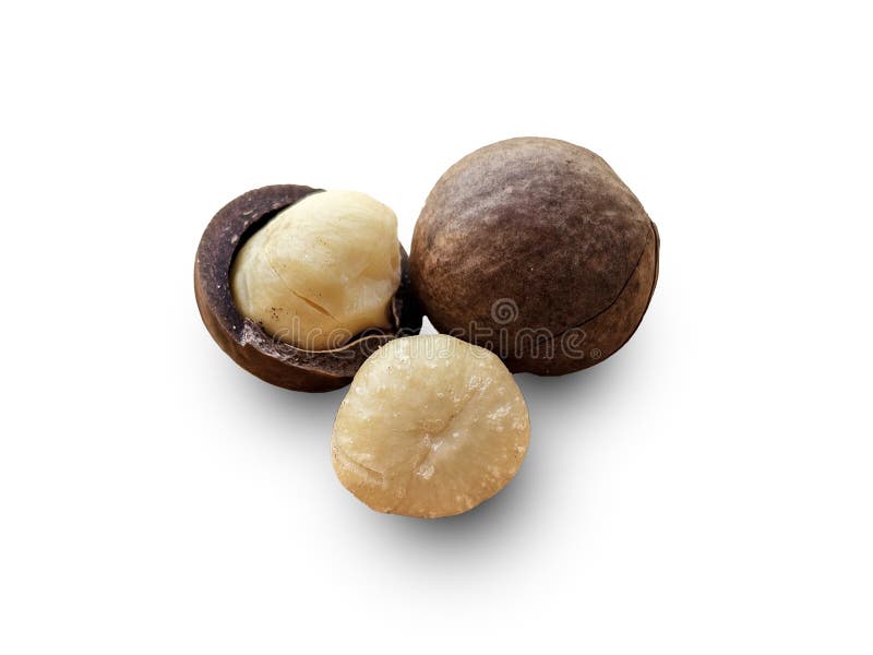 Three Macadamia Nuts. One Nut is Whole, Another is Cracked Open Showing ...