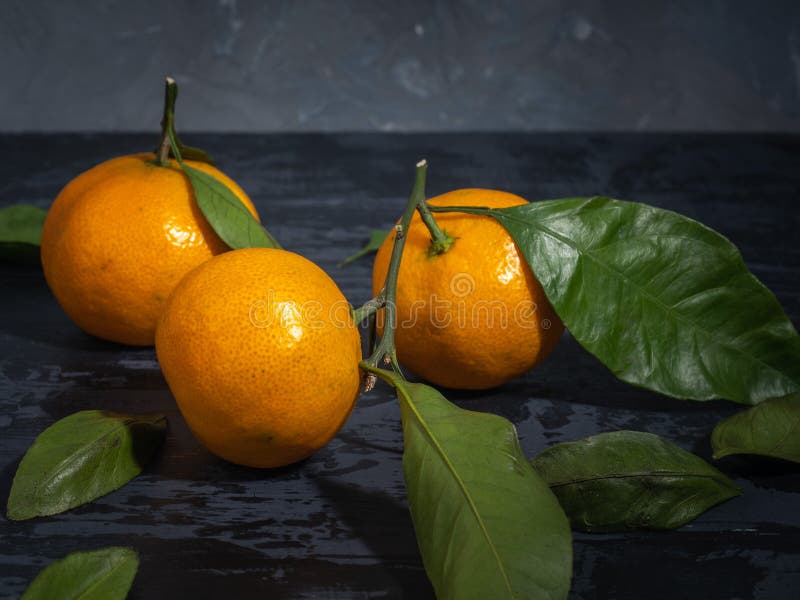 Three Mandarins with Green Leaflets on a Dark Background, Side View ...