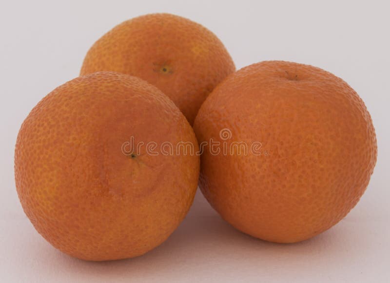 Mandarins. stock photo. Image of mandarins, tree, sweet - 102549698