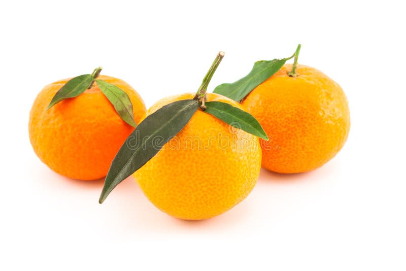 Three Mandarins or Tangerines with Leaves Stock Image - Image of green ...