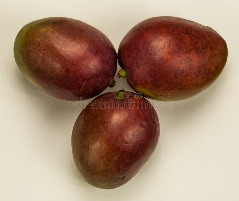 410 Three Color Mango Stock Photos - Free & Royalty-Free Stock Photos ...