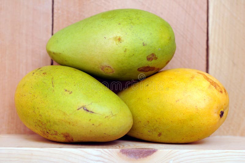 Three mango stock photo. Image of dessert, juicy, fresh - 42727840