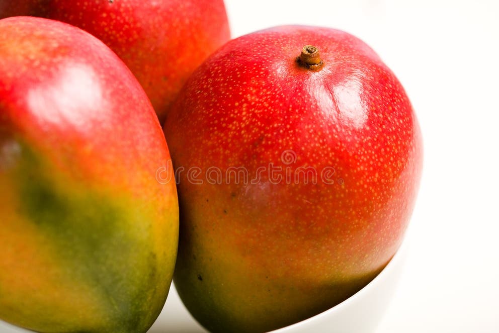 Three Mangoes stock photo. Image of intense, tasty, fresh - 6779878