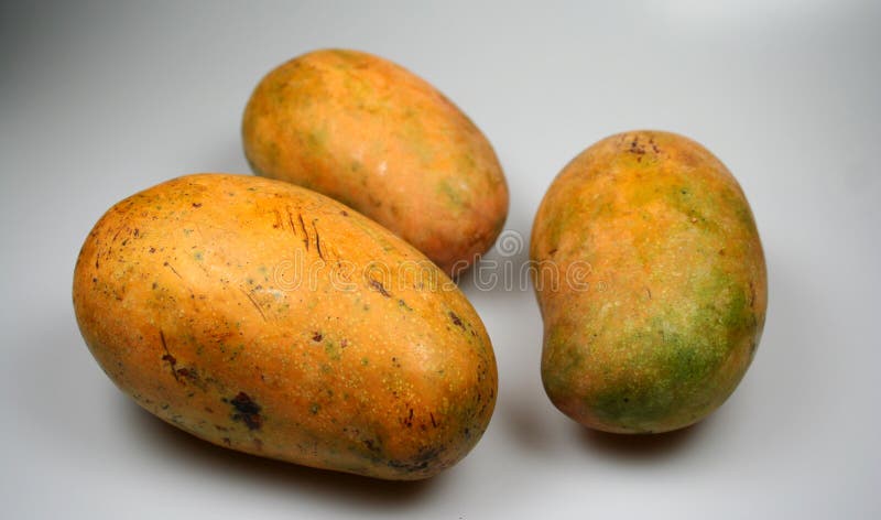 Three Mangoes isolate stock photo. Image of indica, decoration - 836772