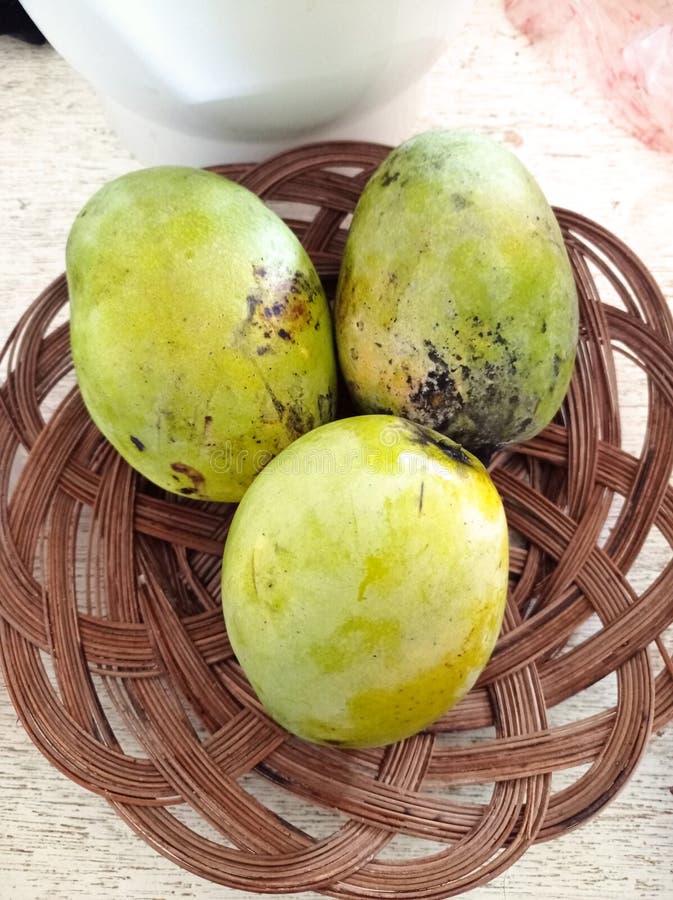 Three mangoes in place stock photo. Image of green, vegetable - 239613938