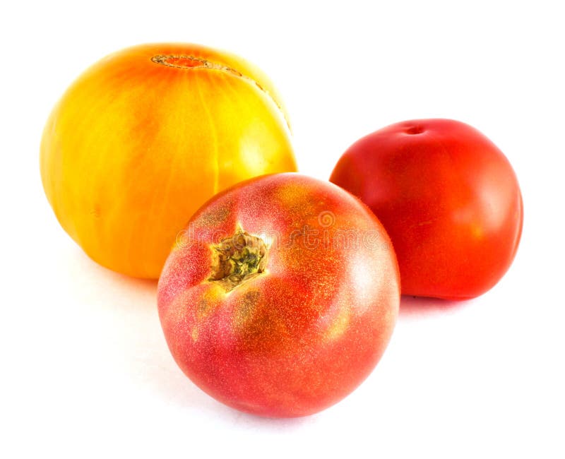 Three Many Coloured Tomatoes Stock Photos - Free & Royalty-Free Stock ...