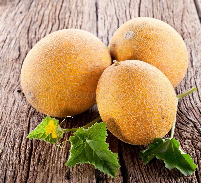 Three Melon with the Leaves Stock Image - Image of organic, juicy: 30860355