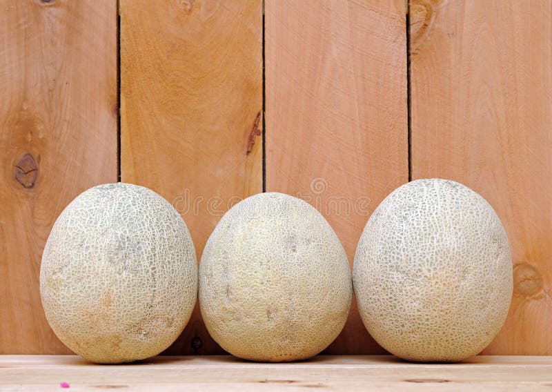 Three melons stock image. Image of cutting, grocery, fruit - 28456237