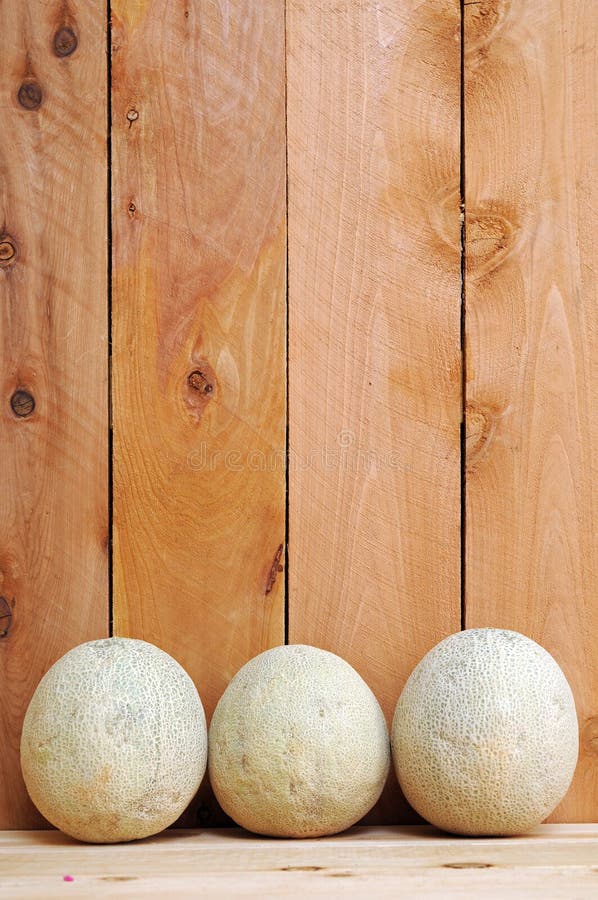 Three melons stock photo. Image of market, health, fresh - 28687134