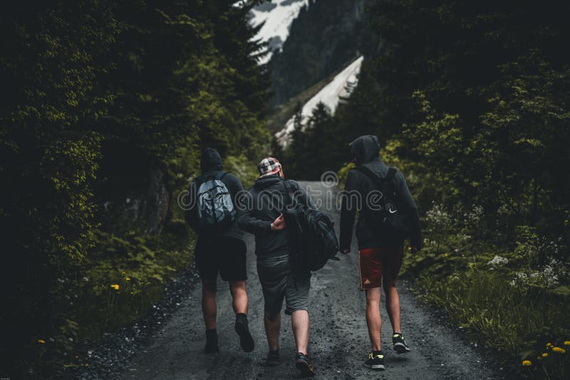 Three Men Walking On Road Between Tall Trees Picture. Image: 117989038