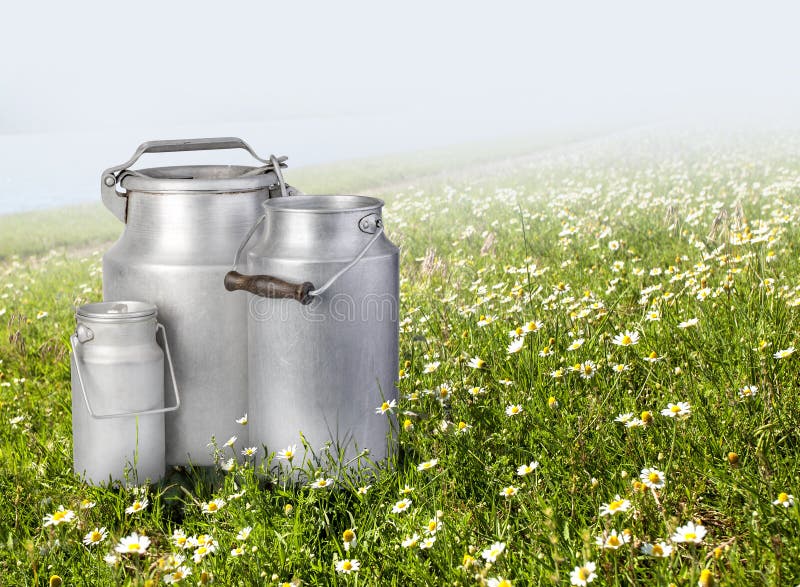Metal cans isolated stock photo. Image of product, soup - 102877974
