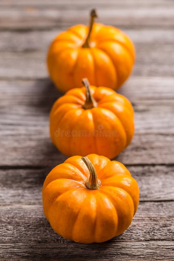 Three mini pumpkins stock photo. Image of festive, decorate - 60368214