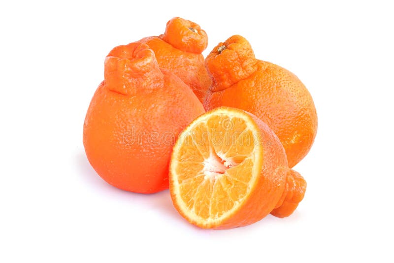 Minneolas on White stock photo. Image of minneola, group - 29224256