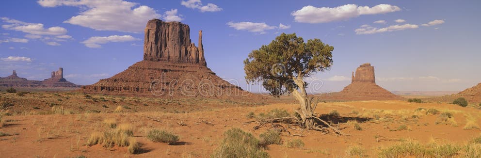 The three Mittens stock image. Image of native, historical - 23159899