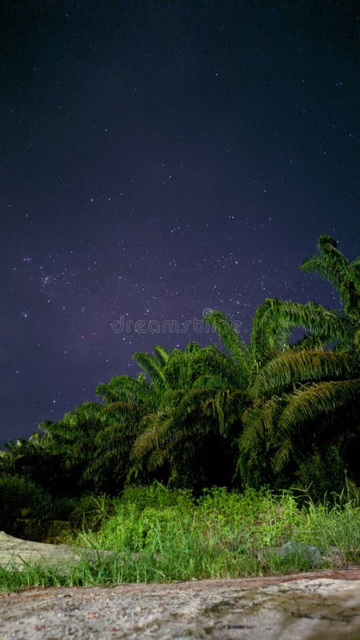 Three moon star bush night stock photo. Image of three - 288019372