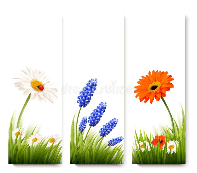 Three Nature Flower Banners. Stock Illustration - Illustration of ...