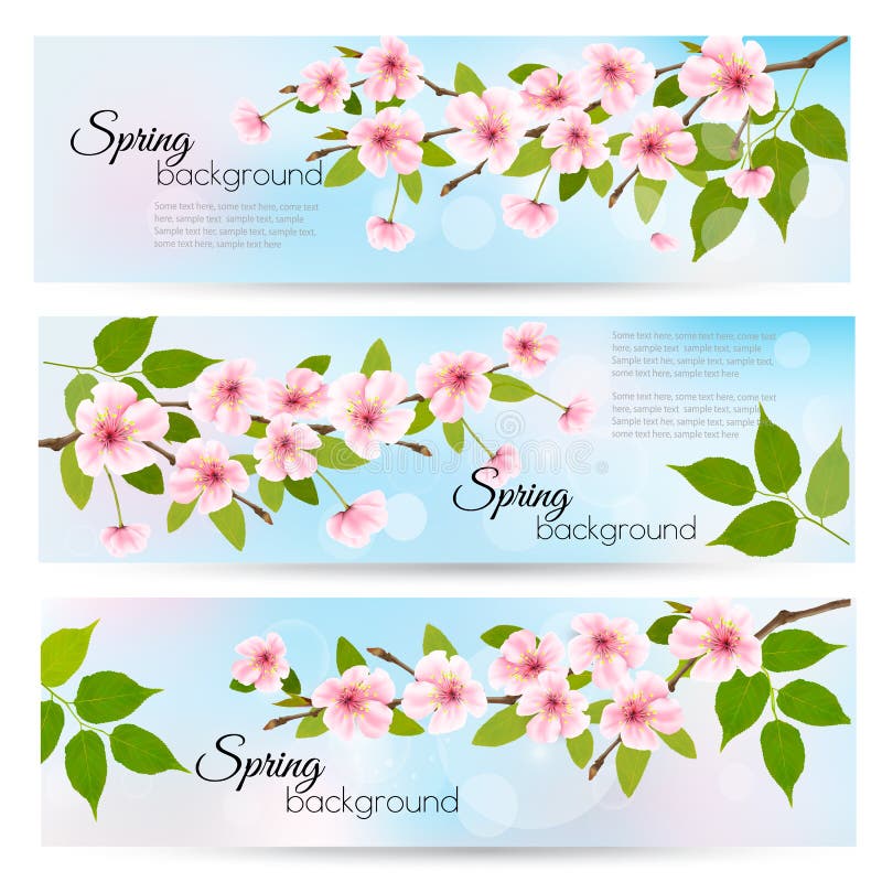Spring Banners stock vector. Illustration of design, network - 13332727