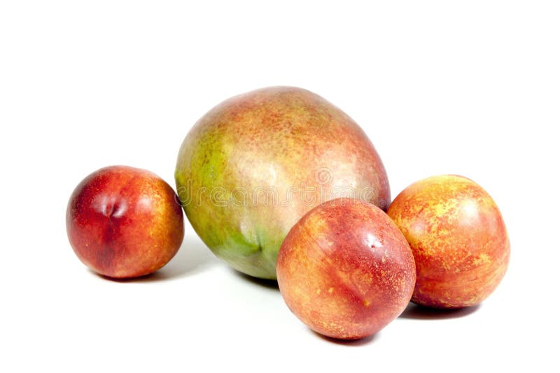 Three Nectarines and Ripe Tropical Mango on White Stock Photo - Image ...