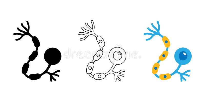 Three Neurons Illustration Silhouette, Outline, and Flat Color Version ...