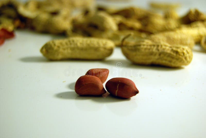 Three Nuts stock image. Image of food, macro, seed, dried - 1321185