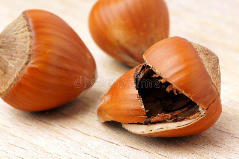 Three nuts stock image. Image of hazel, hazelnut, cracked - 22836921