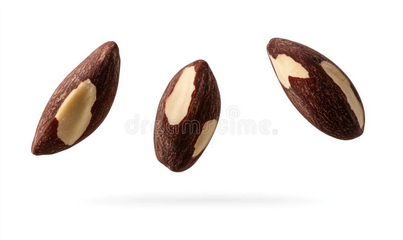 Three Nuts are Shown in the Air Stock Photo - Image of brown, snack ...