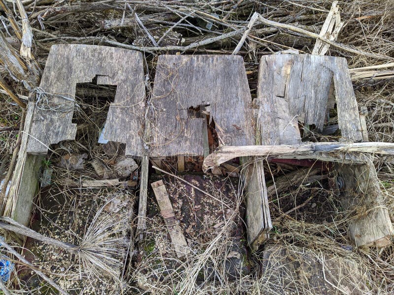 Three Old and Broken Wooden Chairs in the Woods Stock Photo - Image of ...