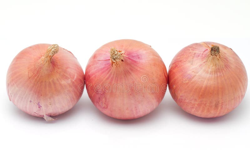 Three Onions stock photo. Image of bulbs, flavoring, vegetable - 14635020
