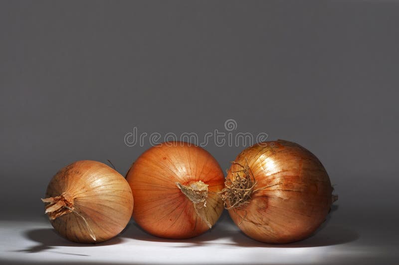 Three onions stock image. Image of vegetables, seasoning - 15901157