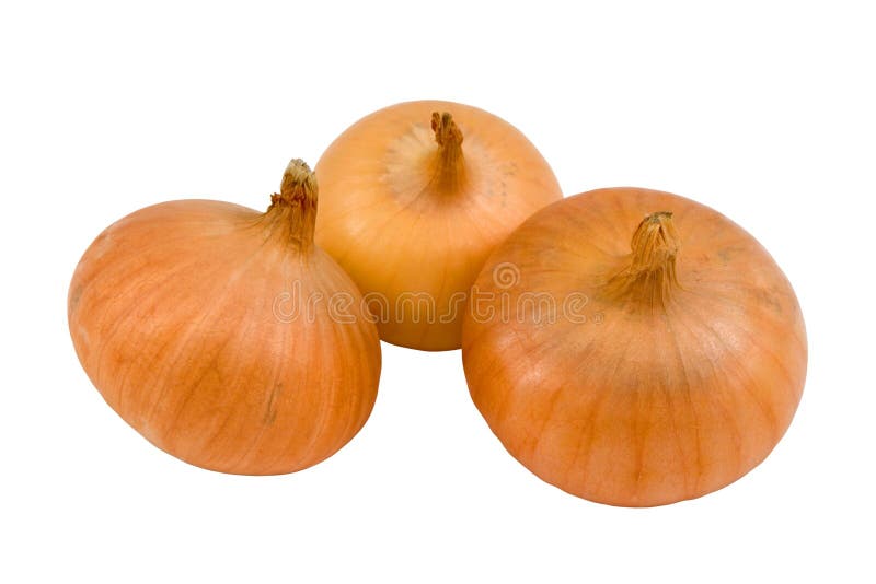 Three onions stock photo. Image of objects, cutting, onion - 1874448